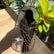 Crow Stained Glass Suncatcher (PRE-ORDER) – Amaya Jade